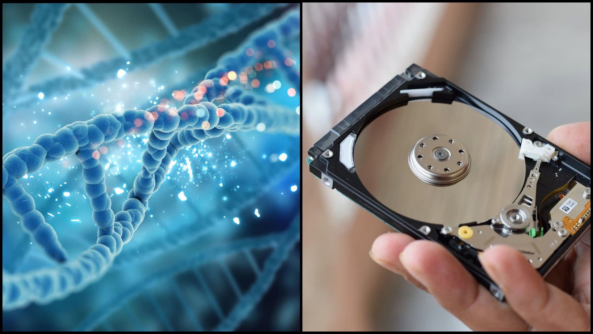 Sci-fi je realitou. Našli spôsob, ako ukladať súbory do DNA