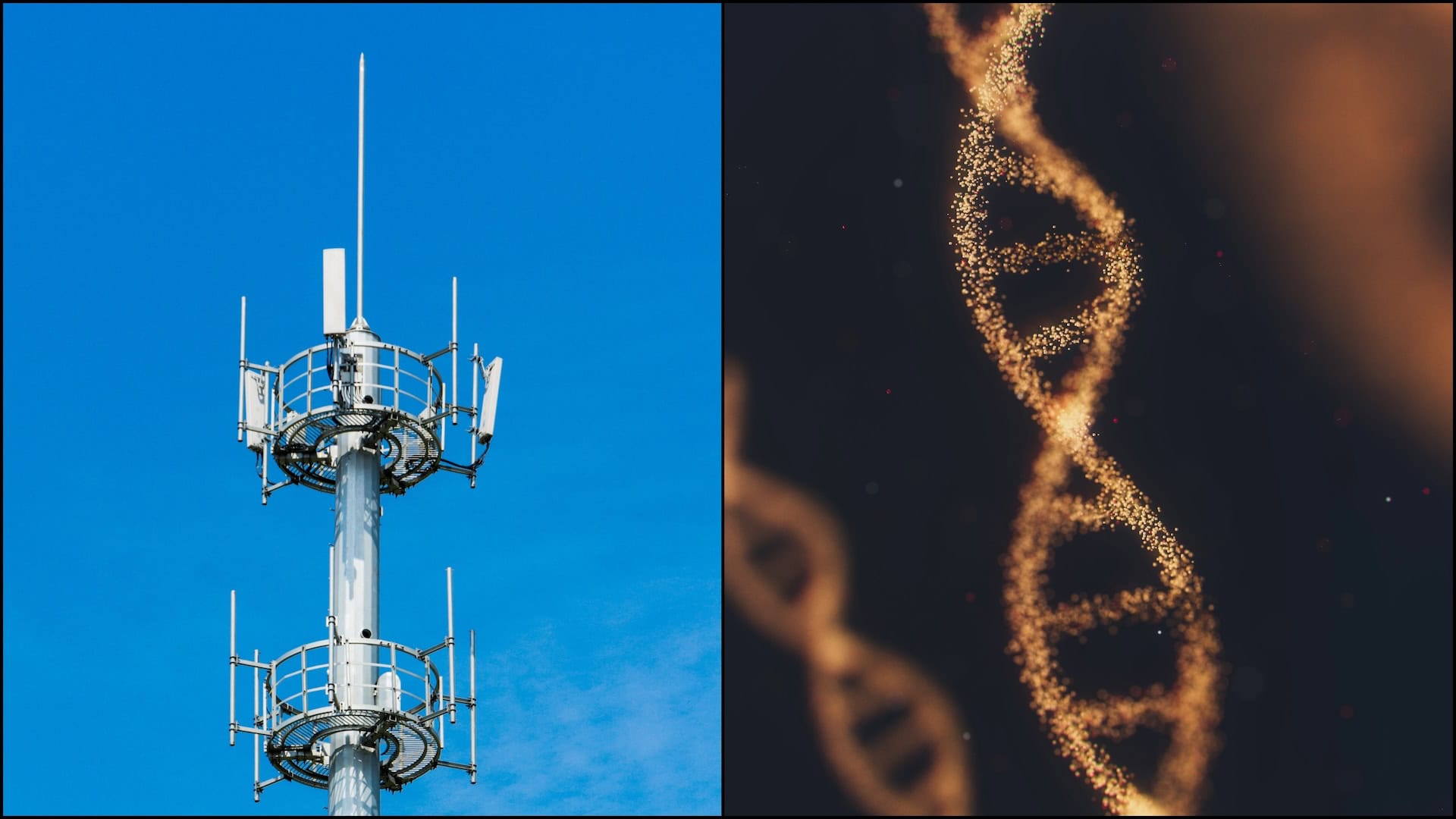 Vedci odhalili škodlivý vplyv 3G a 4G vysielačov na DNA ľudí